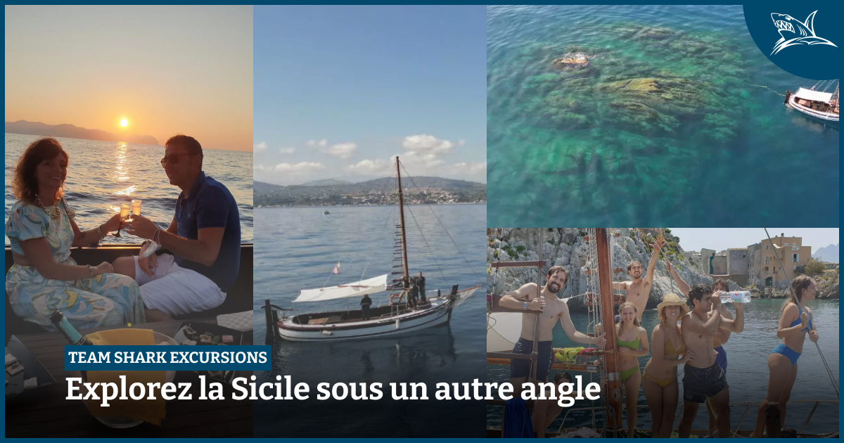 Excursions en bateau à Palerme - Escursioni Team Shark