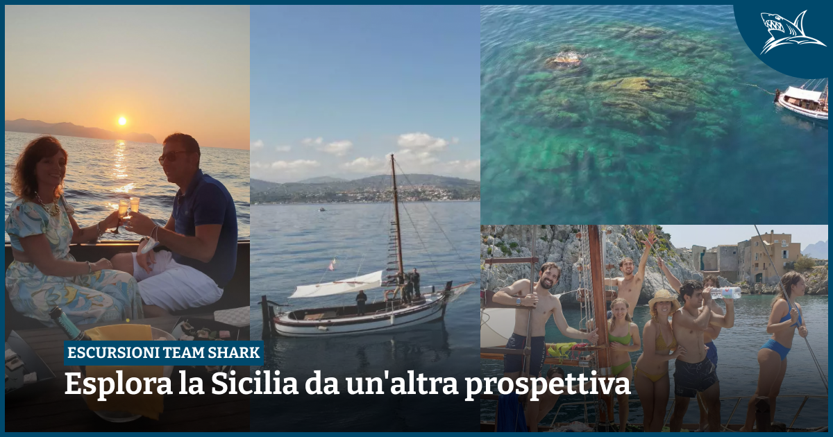 Contattaci: prenota ora il tuo servizio in barca - Escursioni Team Shark